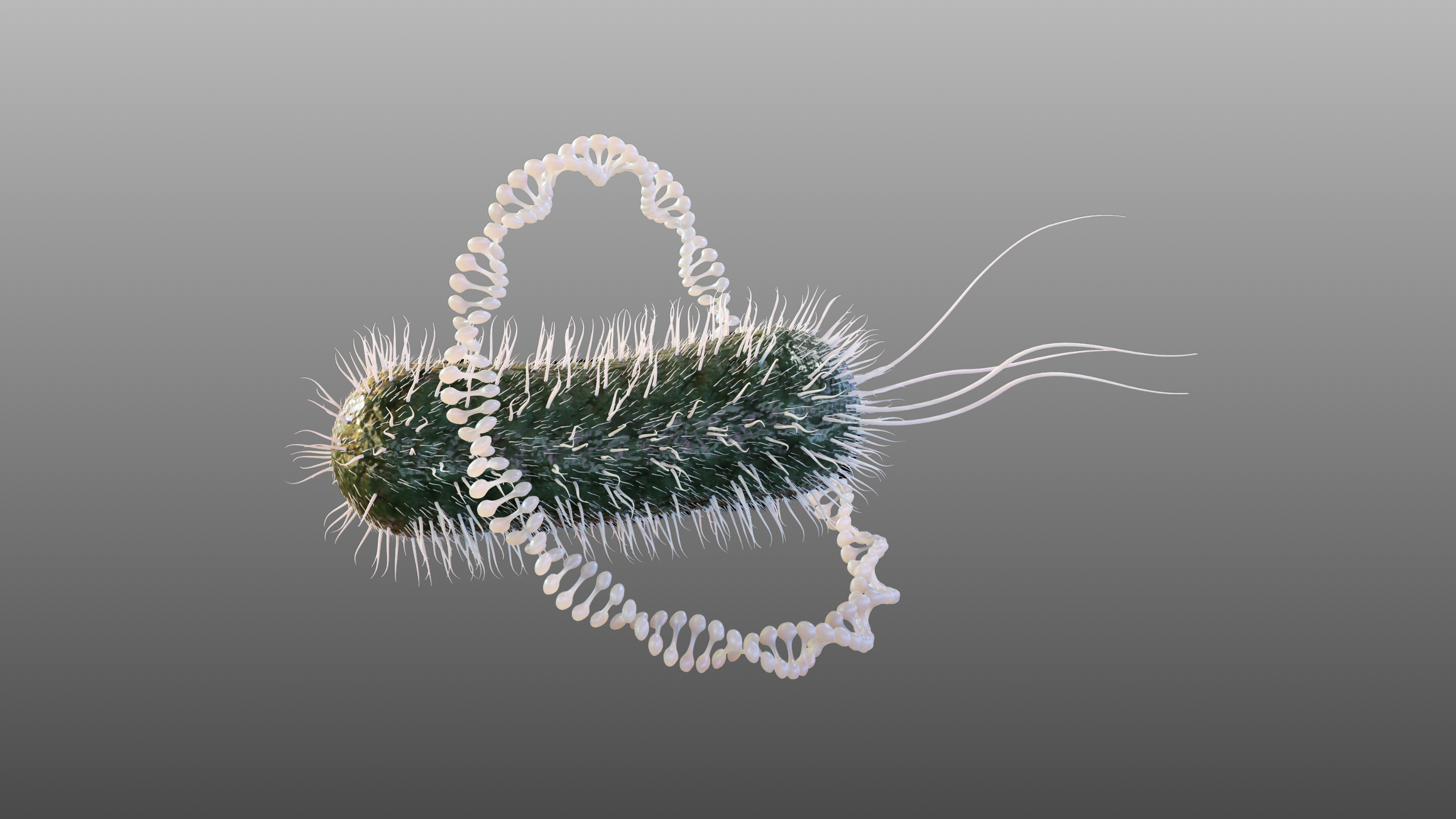 Full Plasmid Sequencing | The John Curtin School of Medical Research